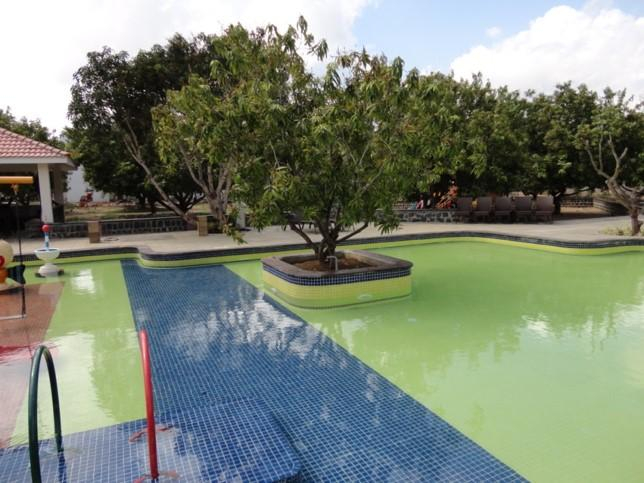 Glassmosaic Tile>Swimming pool cladding